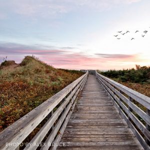 By The Bay Cottages – The sea side cottage community of Stanhope ...